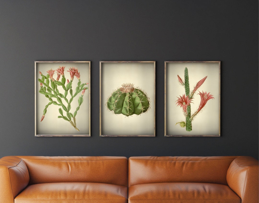 Botanical Set of 3 Vintage Cacti Posters, Cactus Flower Wall Decor ...