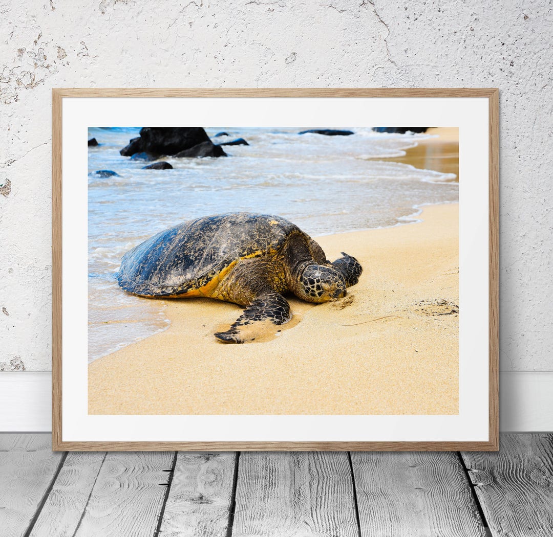 Sea Turtle Poster Tropical Print Sea Turtle Wallpaper Animal Poster Sea ...