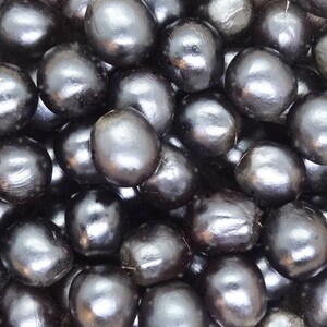 50 Grams of Large Seeds of Indian Soapberry (sapindus Mukorossi) or ...
