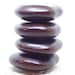 100 Grams of Entada Rheedii Seeds. 4 Shiny, Undrilled Seeds Collected ...