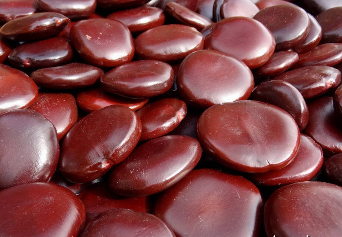 100 grammes de graines d'Entada rheedii soit environ 4 - Etsy France