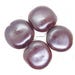 100 Grams of Entada Rheedii Seeds. 4 Shiny, Undrilled Seeds Collected ...