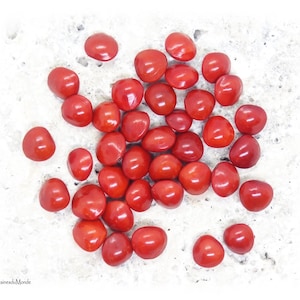25 Grams of Red Seeds (adenanthera Pavonina) or Approximately 90 Seeds ...