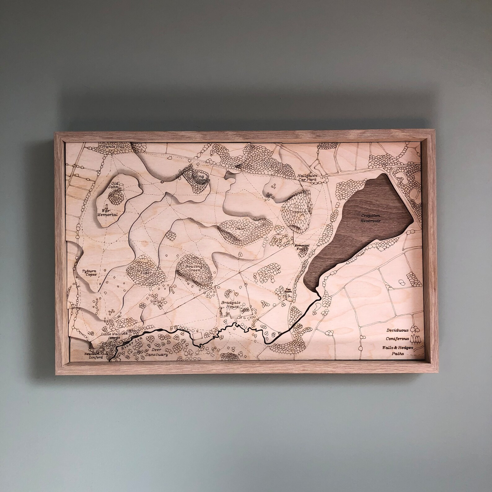 Bradgate Park Wooden Relief Map / Charnwood Forest / - Etsy