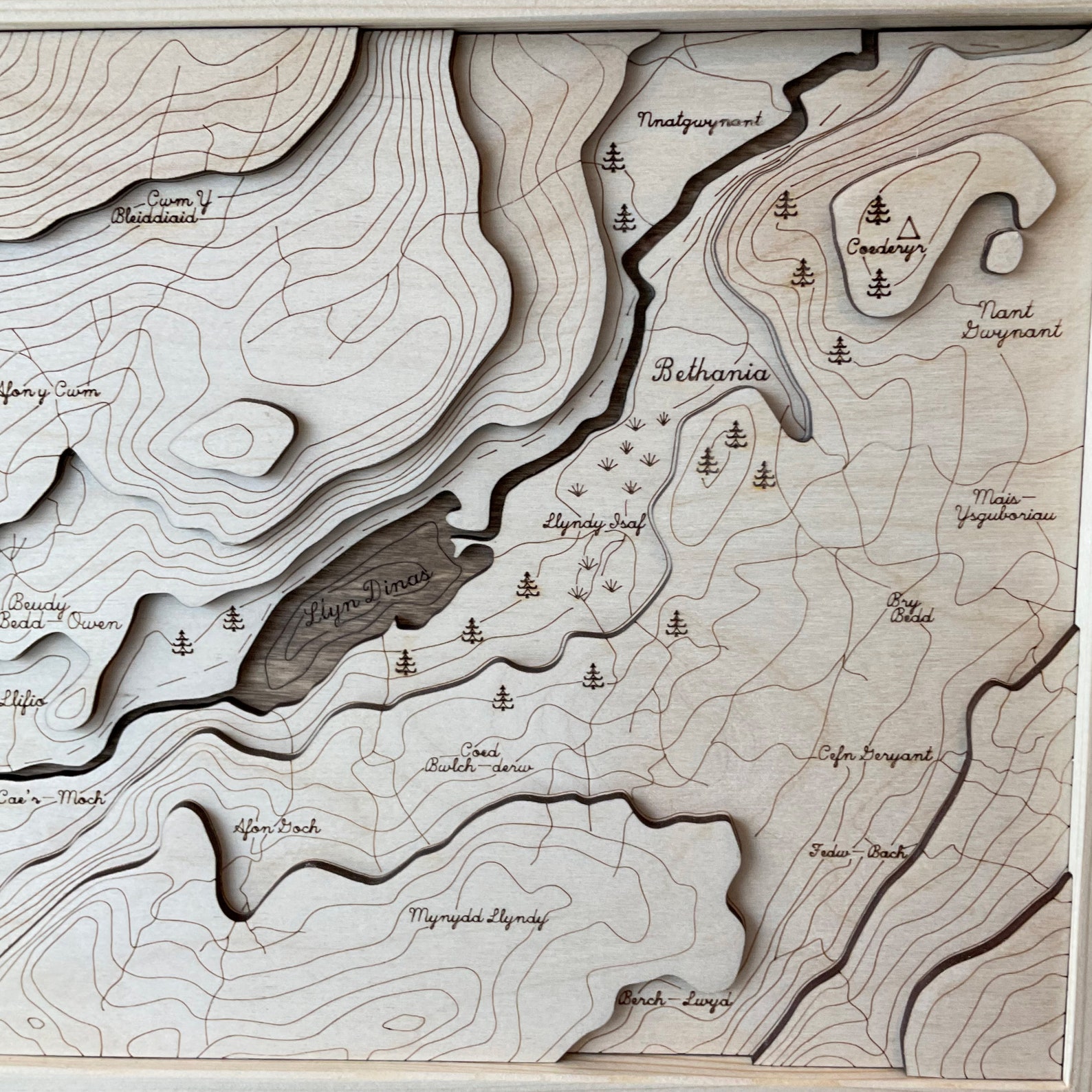 Llyn Dinas Wooden Topographic Map / North Wales / Beddgelert / | Etsy