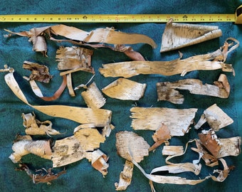 Birch Bark Strips - Etsy