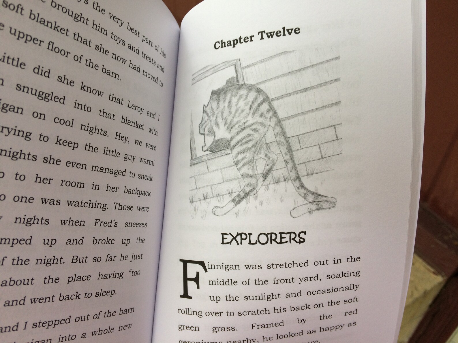 Personalized Autographed Copy of Finnigan the Circus Cat Children's ...