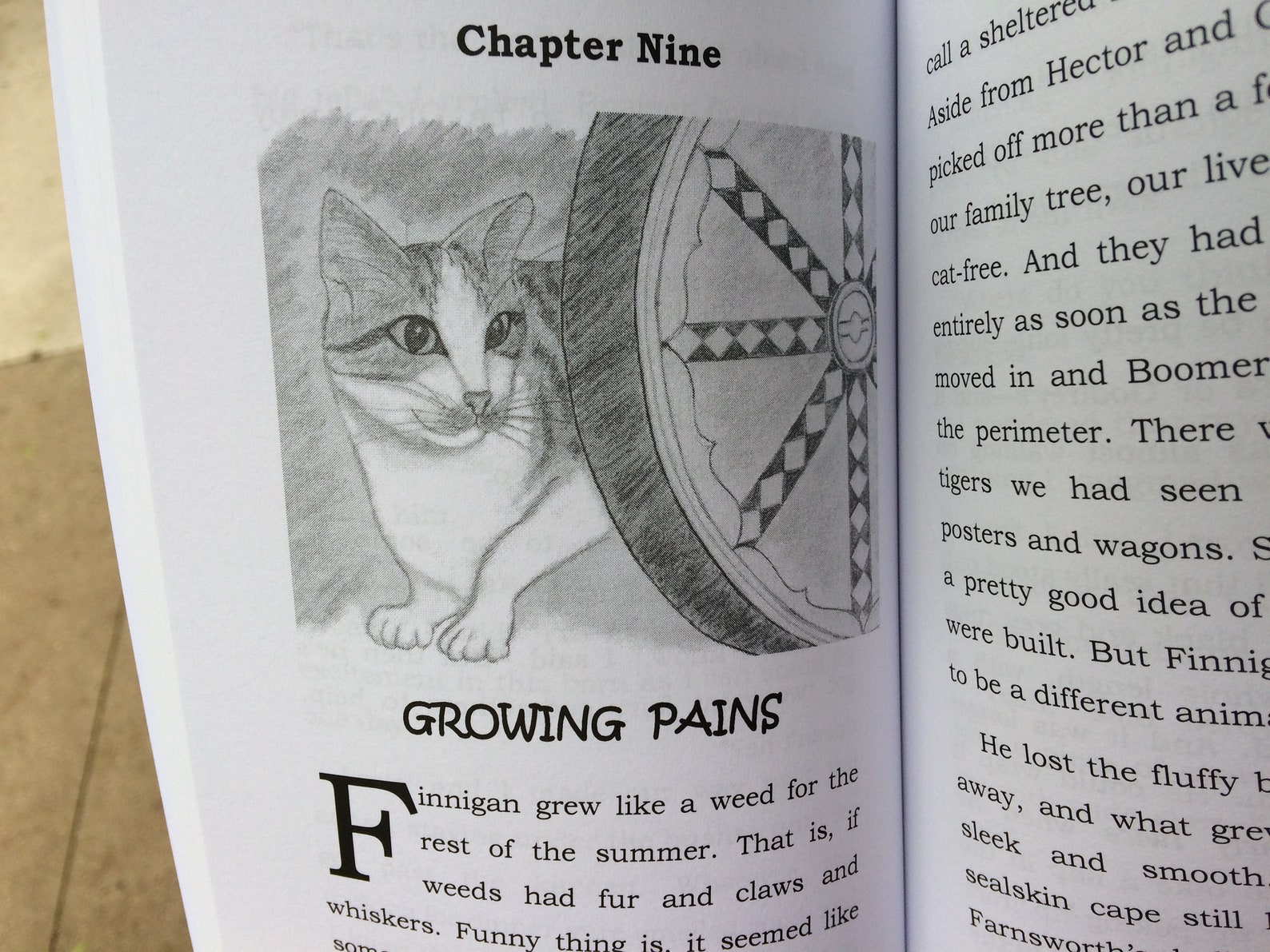 Personalized Autographed Copy of Finnigan the Circus Cat - Etsy