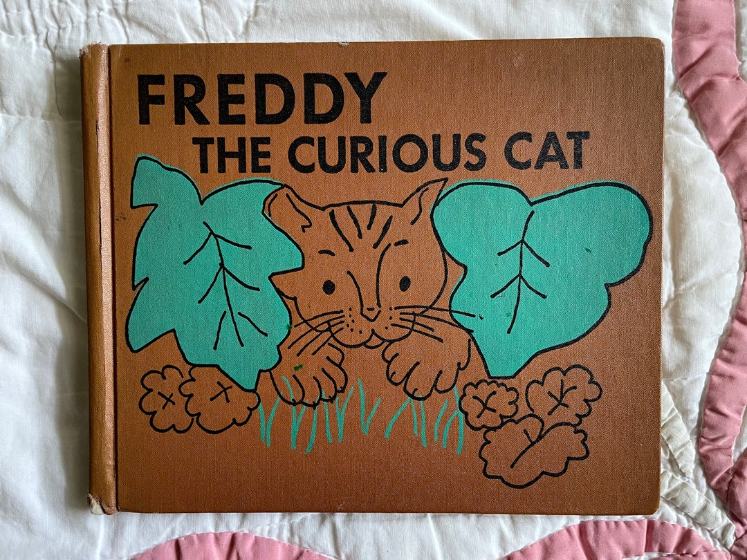 Vintage "freddy Curious Cat" Children's Book, Grace Paull, Illustrated ...