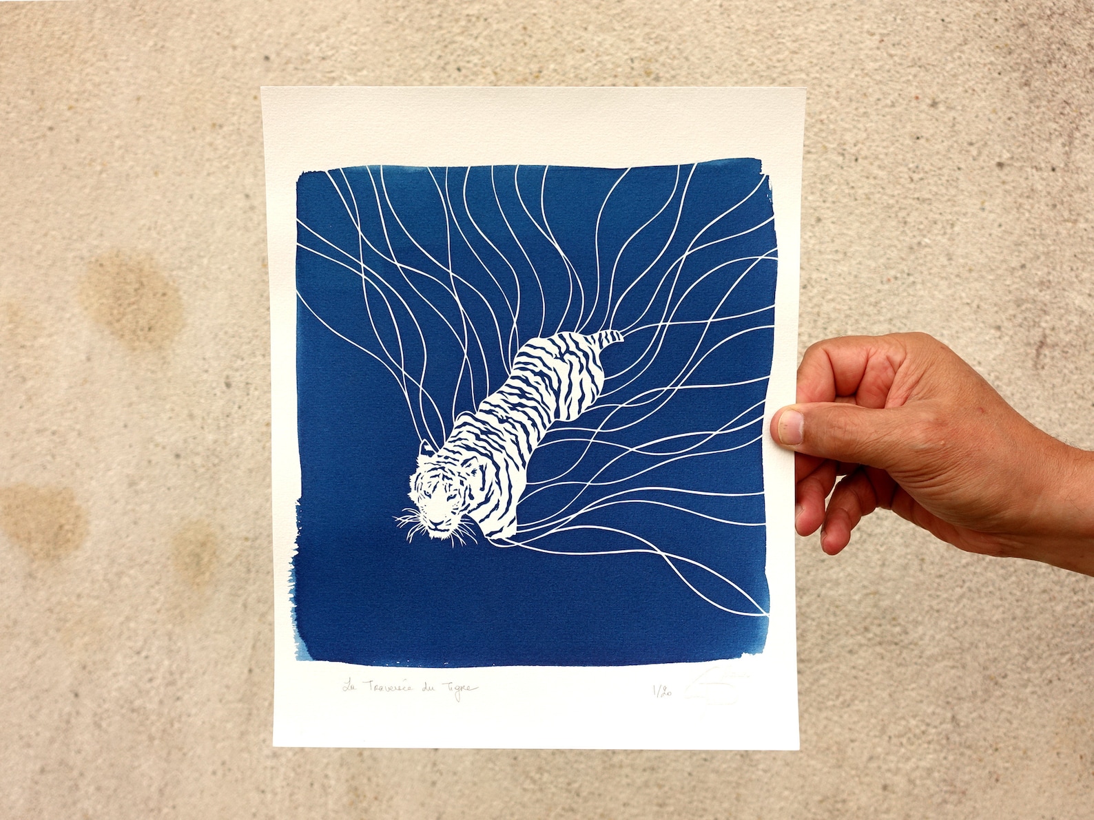 Swimming Bengal Tiger Illustration, Cyanotype Print, Simple Wall Art ...