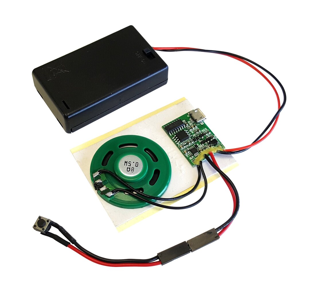 Talking Products MP3 Sound Chip Module 4MB Memory Create - Etsy