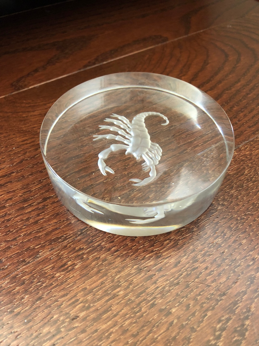 Round Glass Paperweight With Etched Lobster - Etsy