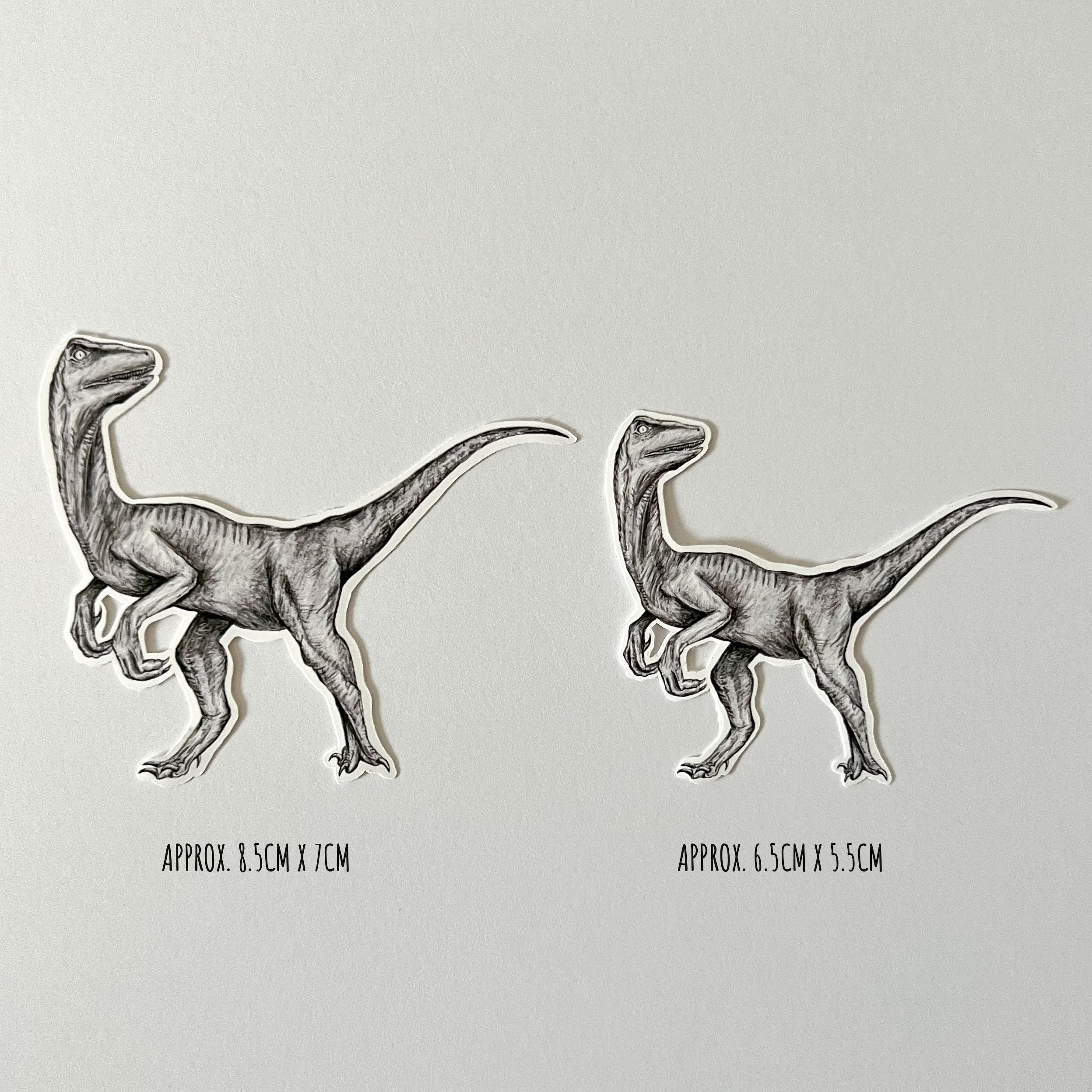 Velociraptor Sticker Dinosaur Sticker Dinosaur Sketch - Etsy