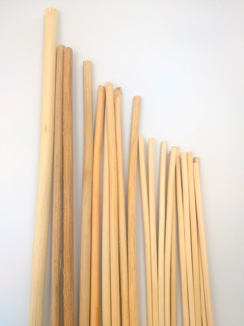 Spanking Rattan - Rattan Cane - Canning - Caning - Rattan for Canning ...