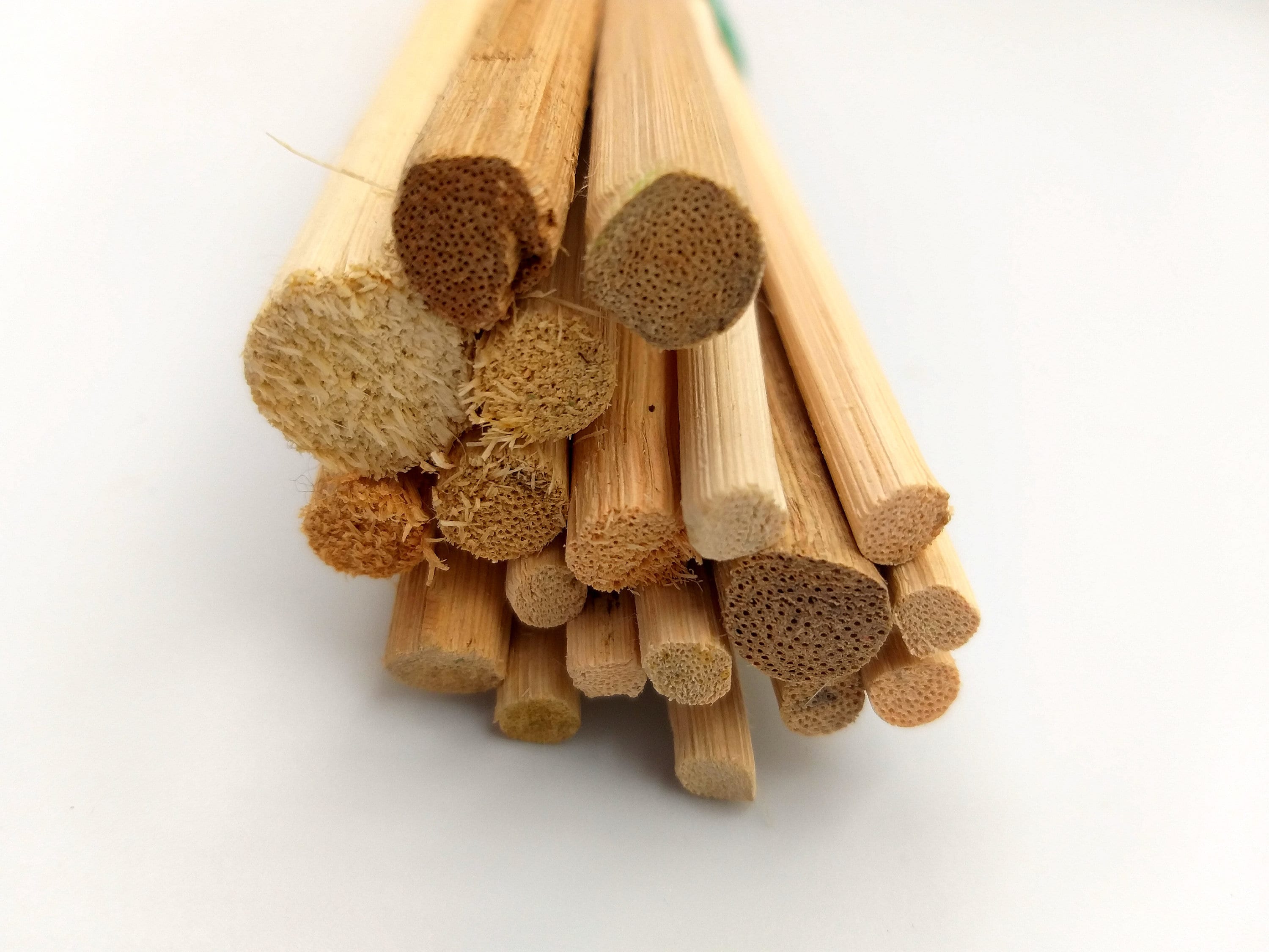Spanking Rattan - Rattan Cane - Canning - Caning - Rattan for Canning ...