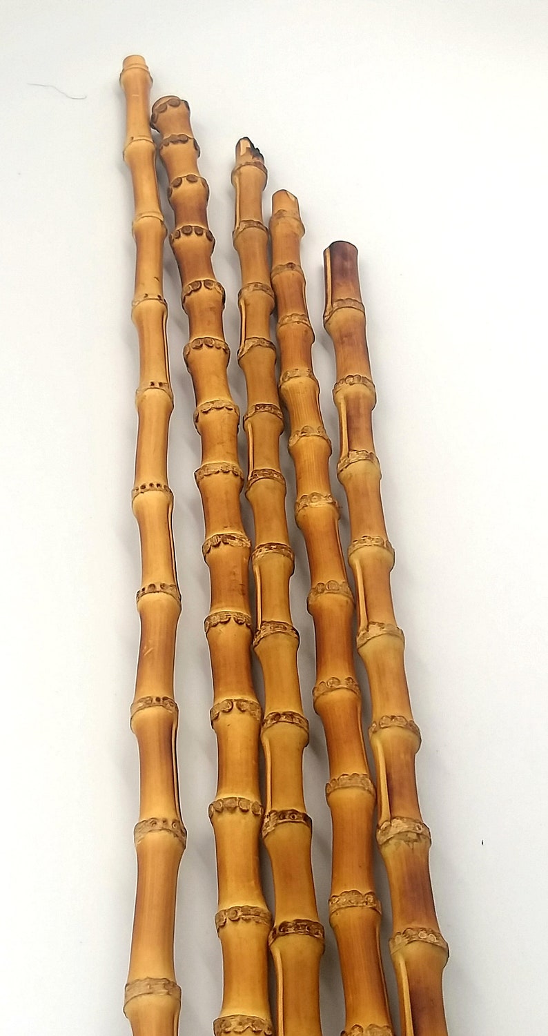 Spanking - Spanking Cane - Bamboo Cane - Bamboo Root - Caning - Caning ...