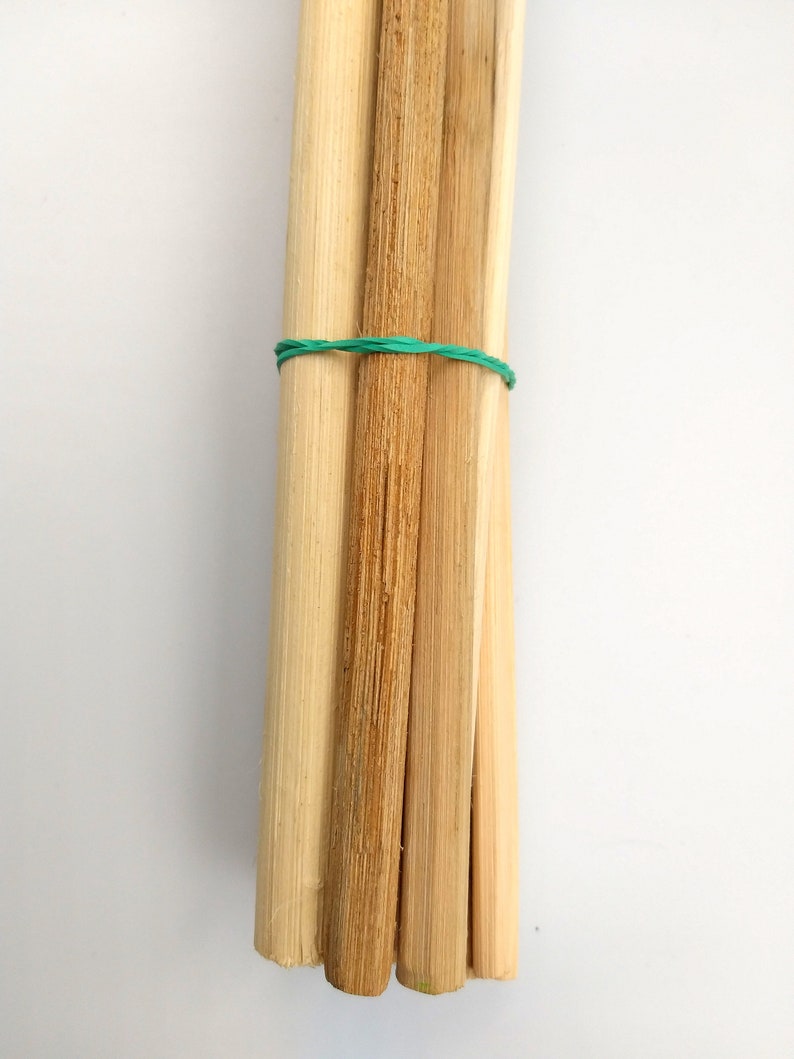 Spanking Rattan - Rattan Cane - Canning - Caning - Rattan for Canning ...