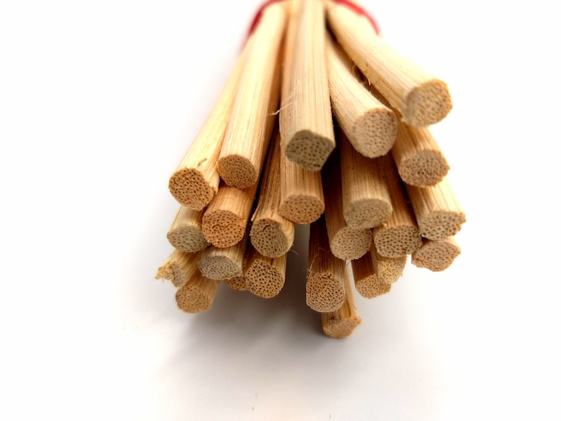 Spanking Rattan - Rattan Cane - Canning - Caning - Rattan for Canning ...