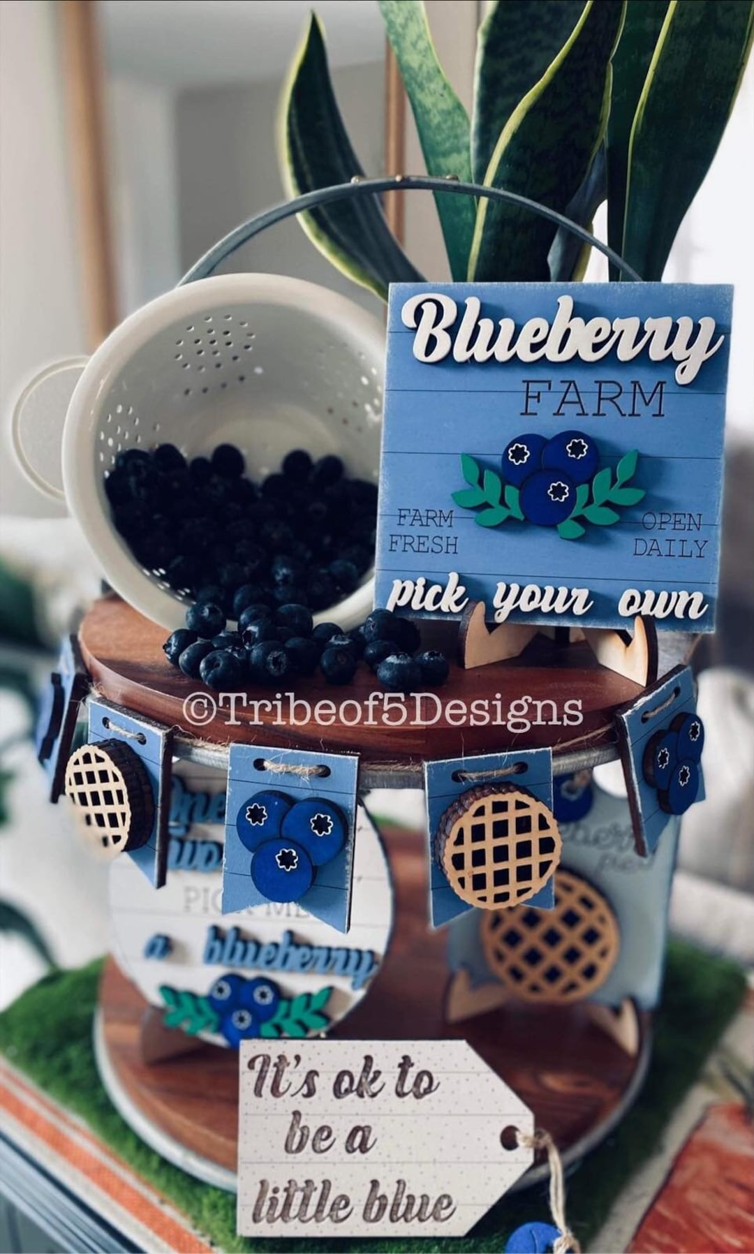 Blueberry Tiered Tray Svg | Blueberry Tier Tray Svg | Fruit Tiered Tray ...