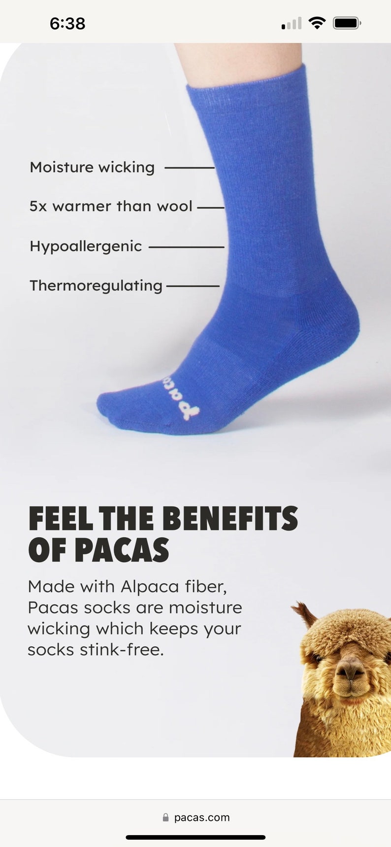 Footwear: Pacas Crew Sock Size M-L - Etsy