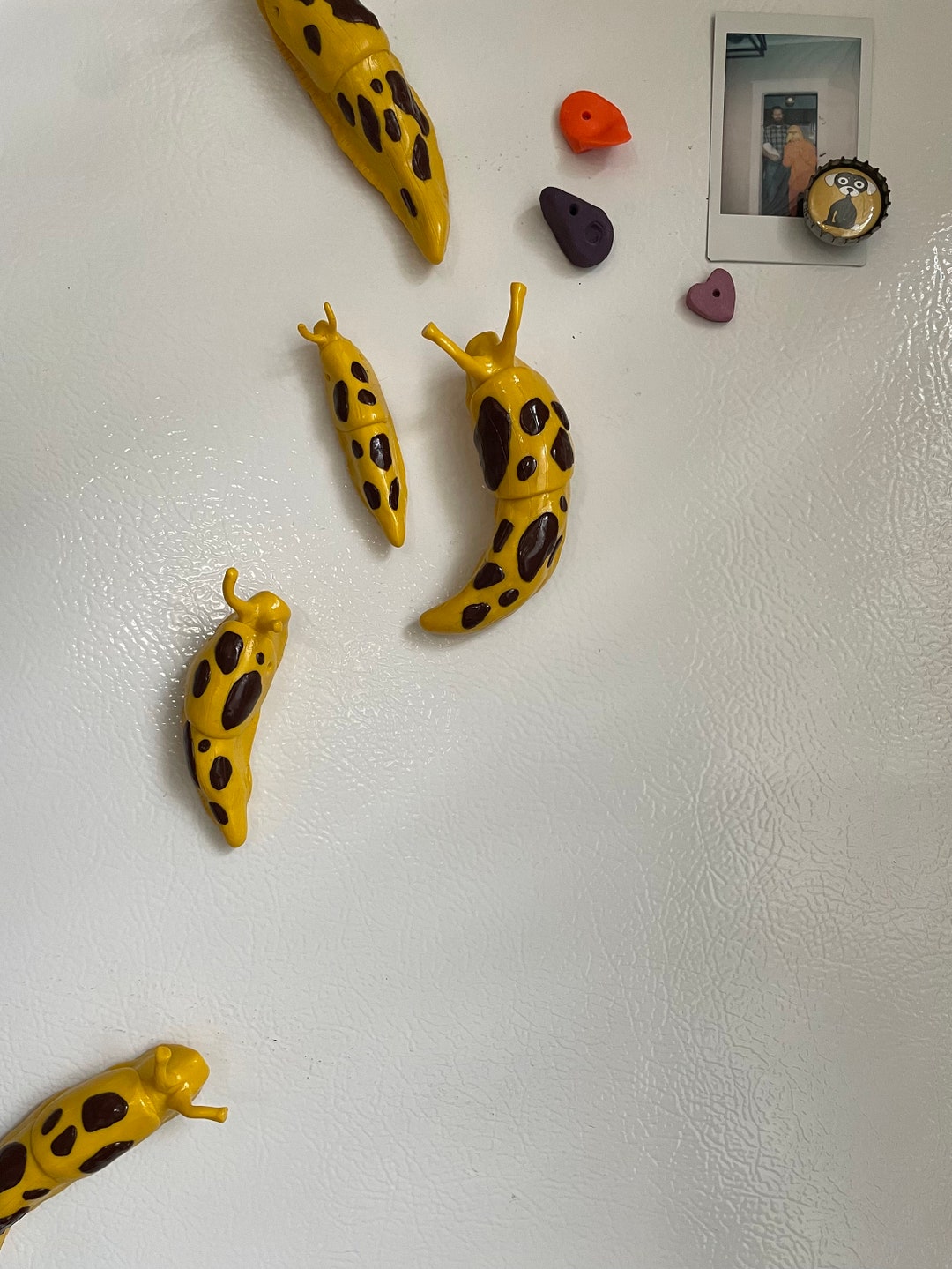 Banana Slug Magnets - Etsy