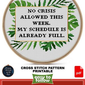 No Crisis Allowed Cross Stitch Pattern. Snarky Cross Stitch Sarcastic ...