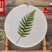 Fern Cross Stitch Pattern. Plant Cross Stitch PDF. Homely Plant ...