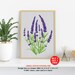 Lavender Cross Stitch Pattern Flower Cross Stitch PDF Flower Embroidery ...