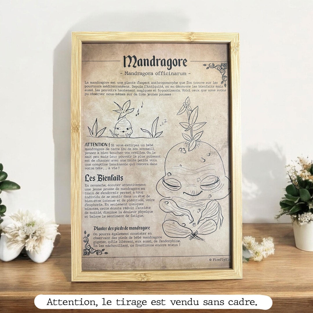 Baby Mandrake Poster and the Virtues We Knew Less About - Etsy