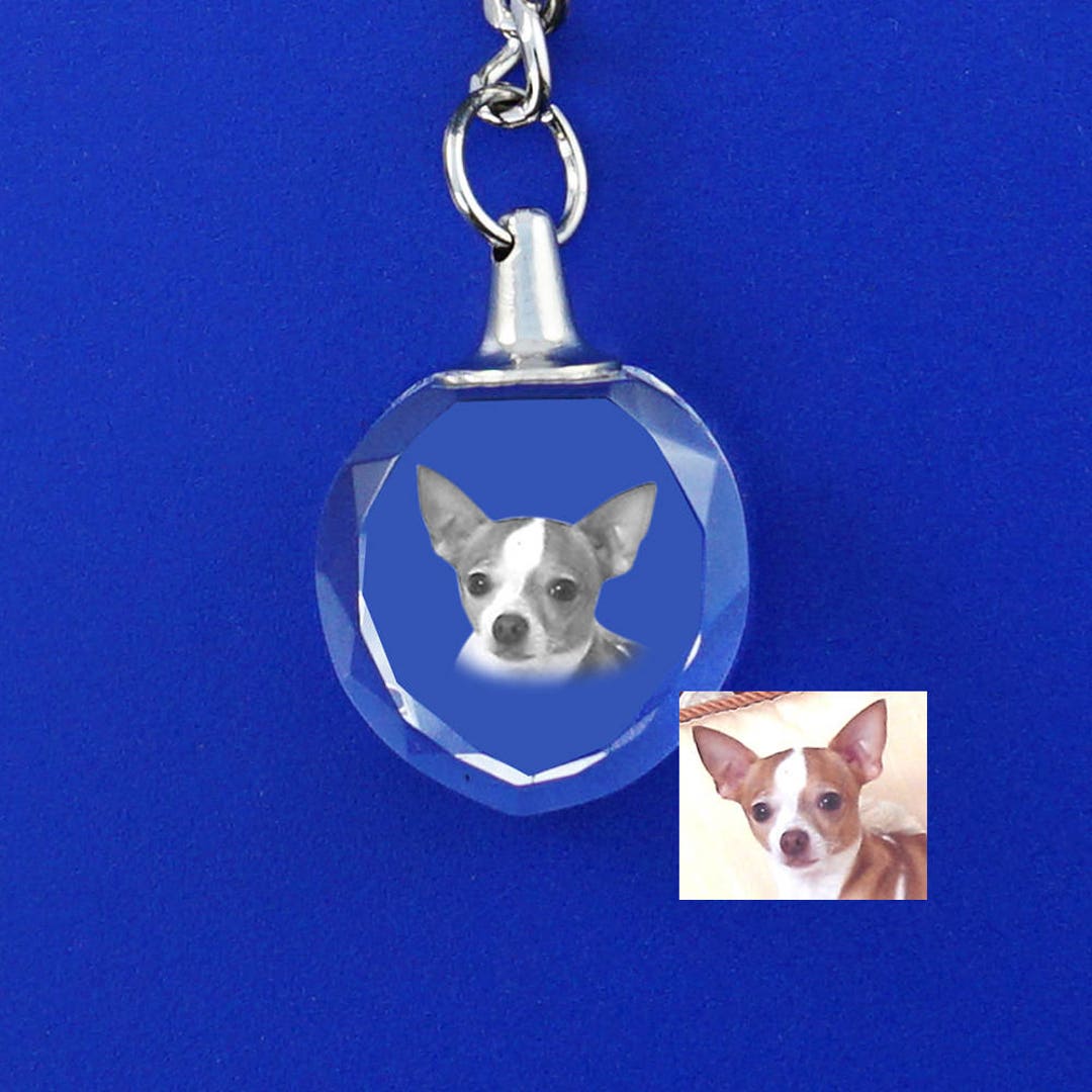 Crystal Key Chain Laser Engraving for Pets Baby Company Logo Name ...