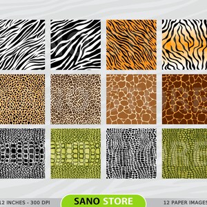 Safari Animal Prints Digital Paper, Zebra, Leopard, Cheetah, Tiger ...