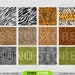 Safari Animal Prints Digital Paper, Zebra, Leopard, Cheetah, Tiger ...