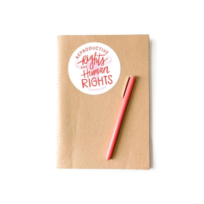 Reproductive Rights 3-inch Vinyl Sticker - Etsy