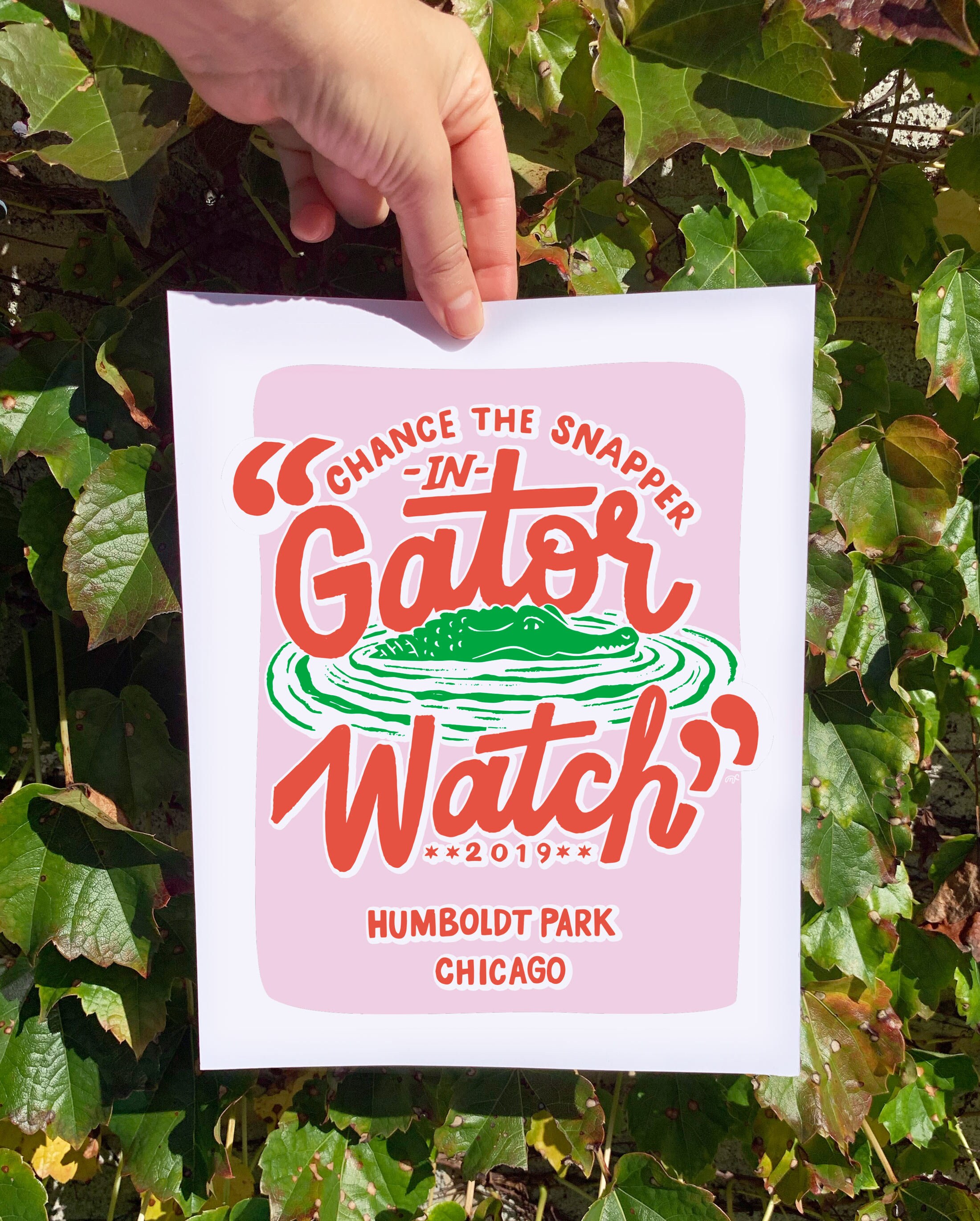 Gator Watch Chance the Snapper Chicago 8x10 Art Print | Etsy