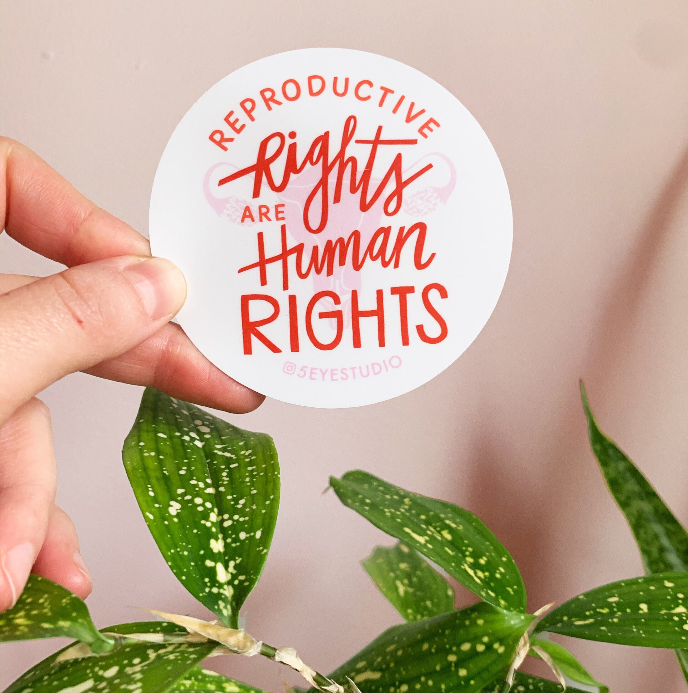 Reproductive Rights 3-inch Vinyl Sticker - Etsy