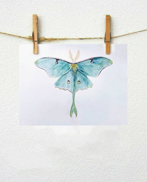 Home & Living Lunar Moth Painting Luna Moth Print of Insect Taxidermy ...