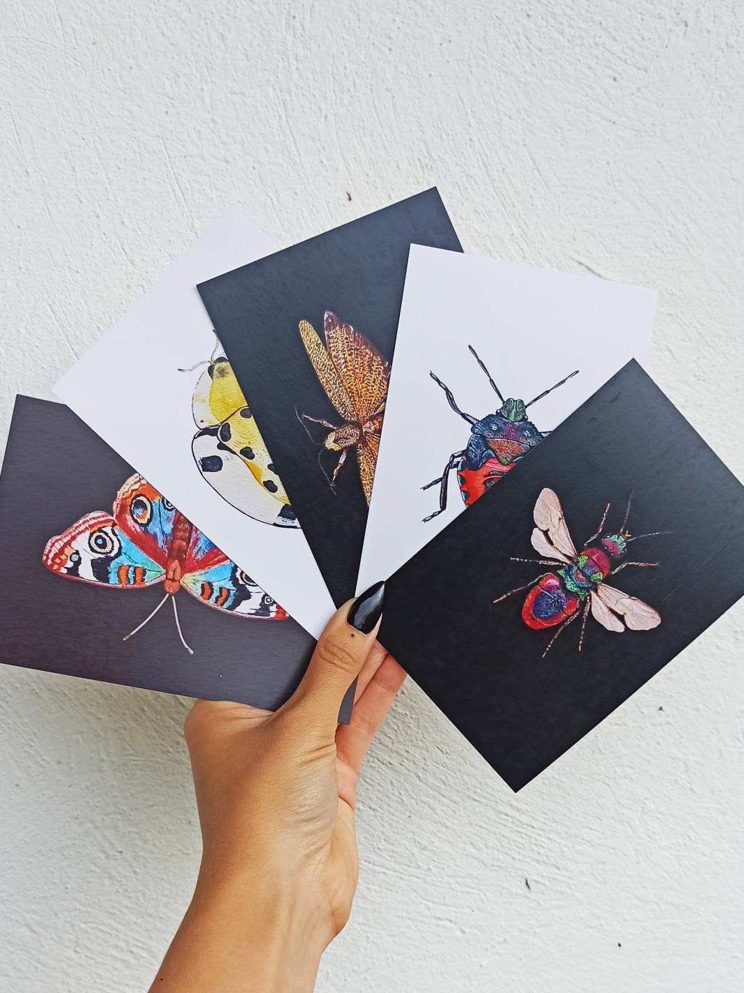 Paper note card bug notecard & insect cards Cicada postcard greeting ...