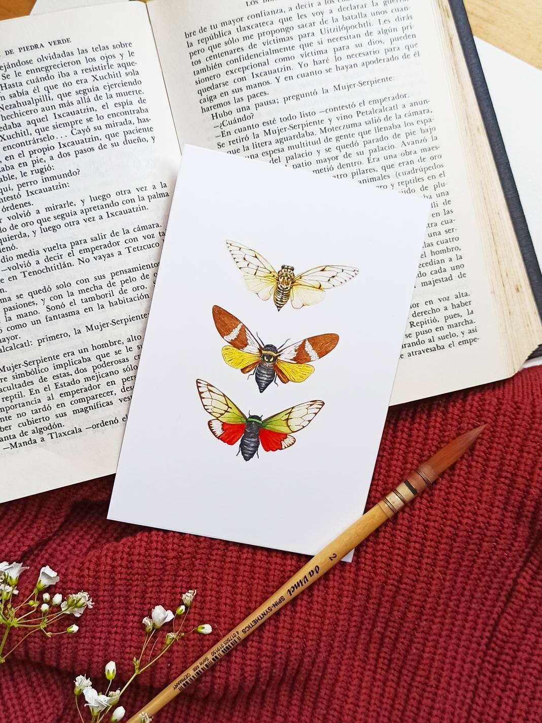 Paper note card bug notecard & insect cards Cicada postcard greeting ...