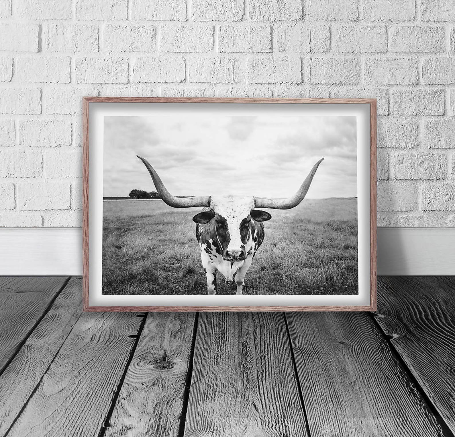 Longhorn Print Digital Download Cattle Photography Range | Etsy