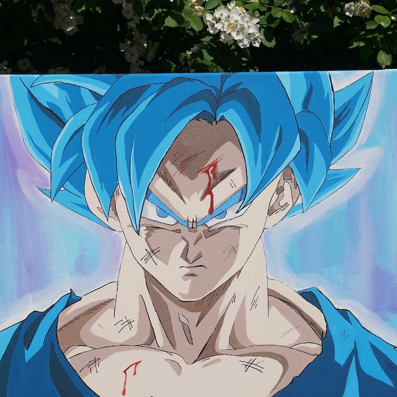 Acrylic Dragon Ball Z Wall Art - Etsy