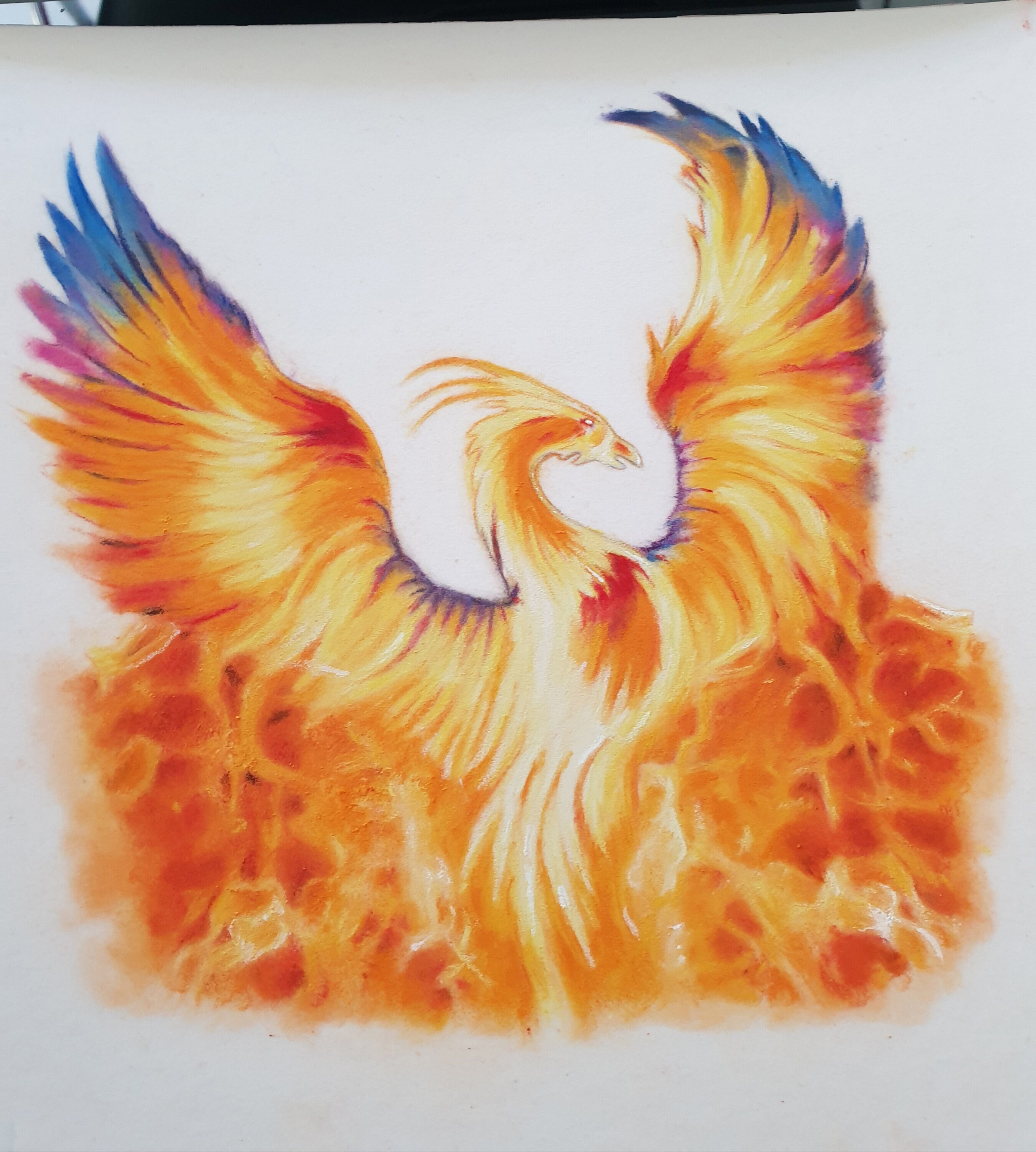 Phoenix Concept Tattoo Design Colour *original* Artwork - Etsy