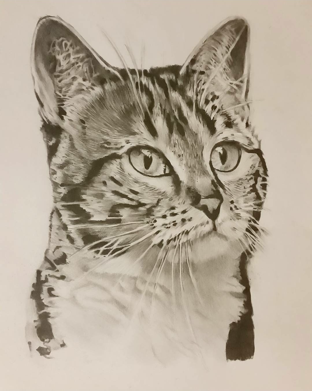 Cat Pencil Drawing Original Art A4 - Etsy