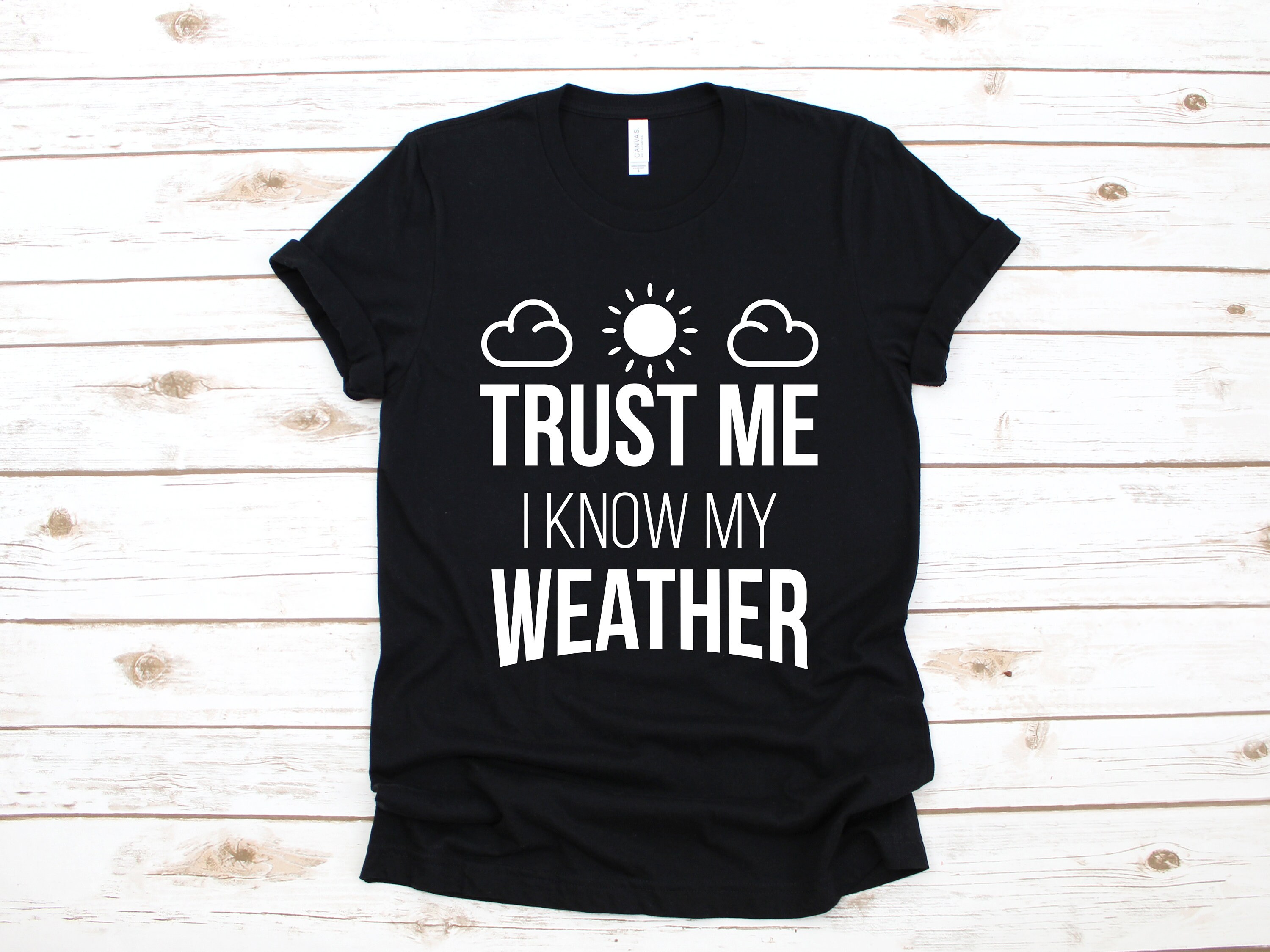 Weather Shirt Meteorologist T-Shirt I Know My Weather Funny | Etsy