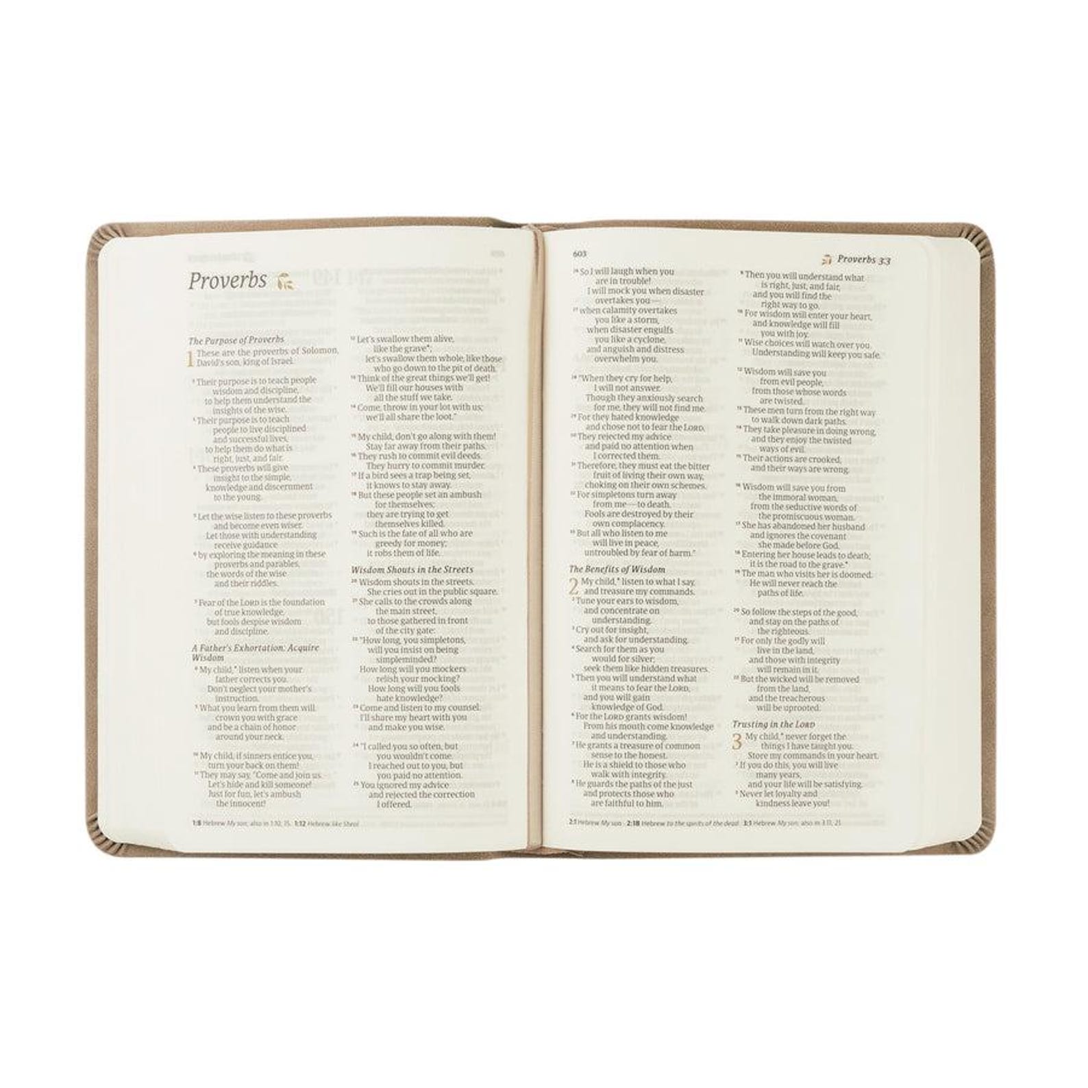 MARLO Theme NLT Compact Journaling Bible | Hosanna Revival - Etsy