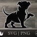 American Bully SVG Cut File for Cricut or Silhouette | Pitbull SVG PNG ...