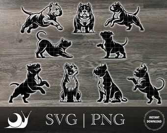 American Bully SVG Cut File for Cricut or Silhouette Pitbull SVG PNG ...