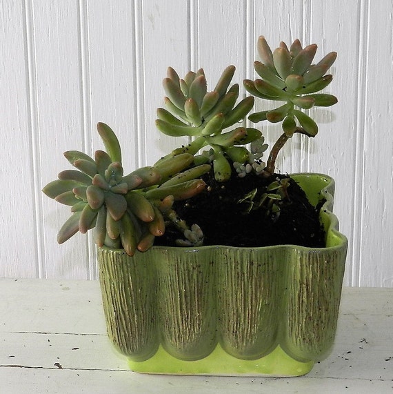 ABORN CALIFORNIA POTTERY - Etsy