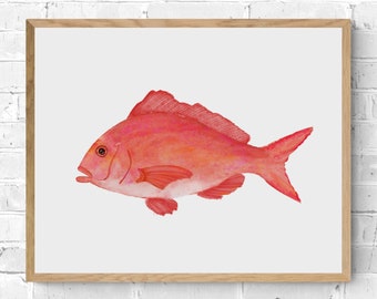 Red Snapper Painting - Etsy