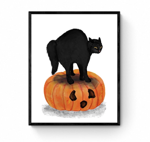 Scared Black Cat Halloween