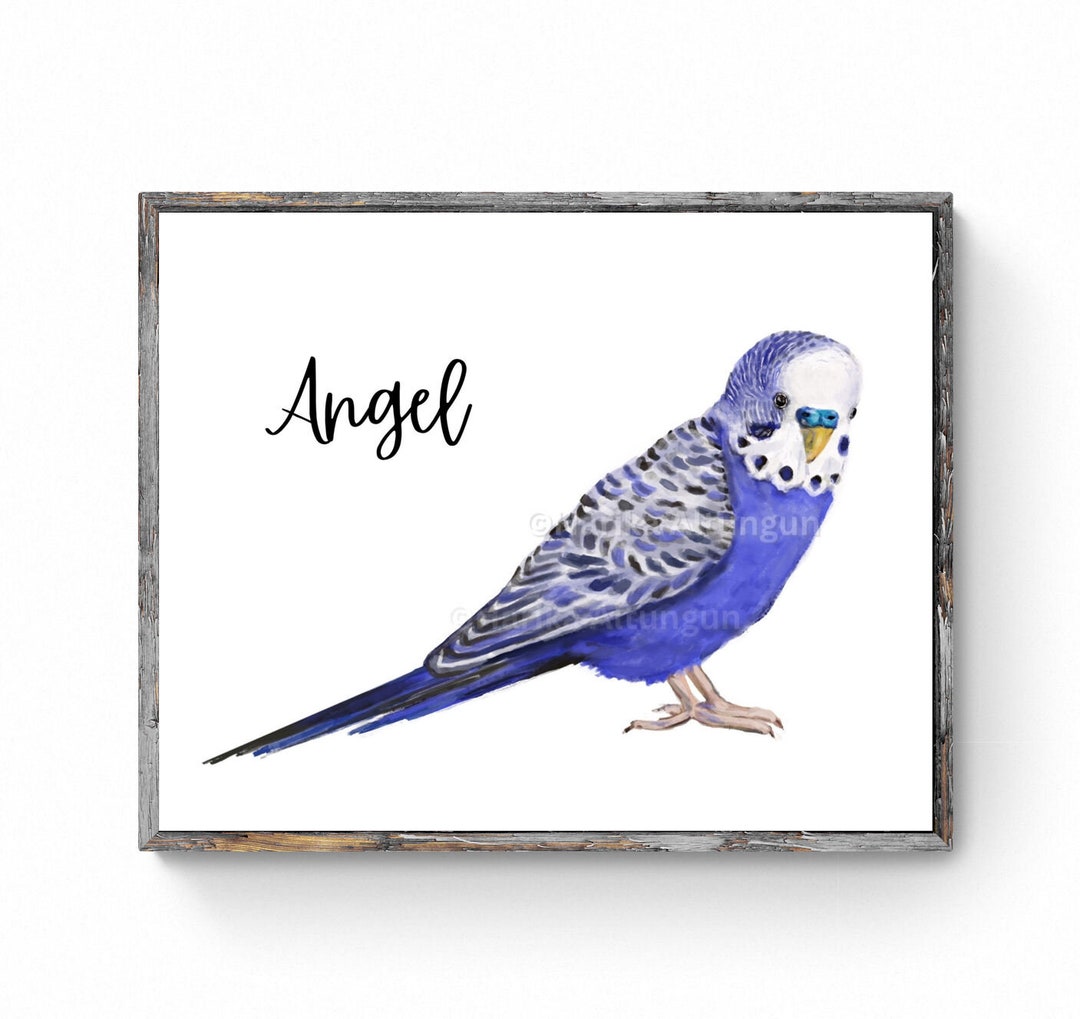 Personalized Purple Parakeet, Custom Budgie Art, Purple Budgerigar ...
